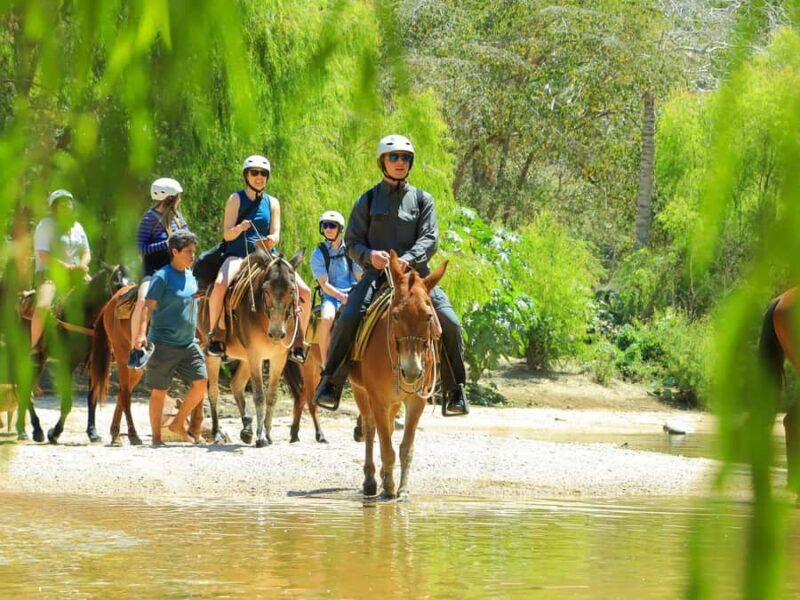 Puerto Vallarta: Boat Tour with Beach Stops & Horseback Ride - FAQ