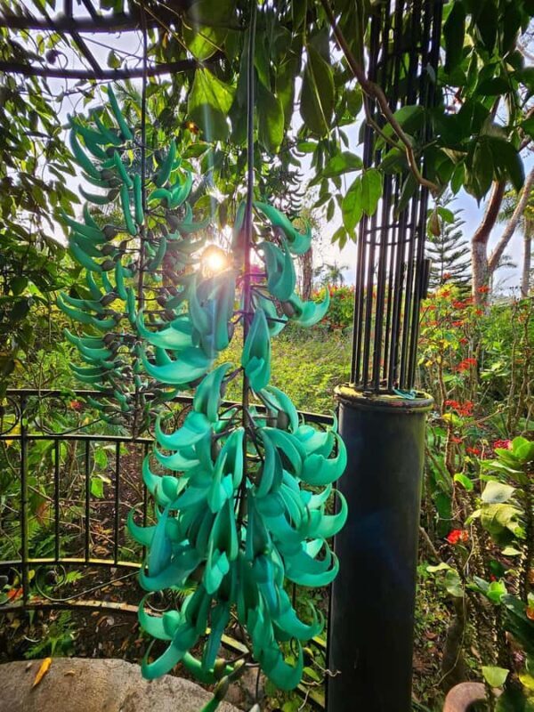 Puerto Vallarta: Botanical Garden & Tequila Tasting Tour - Pricing and Value