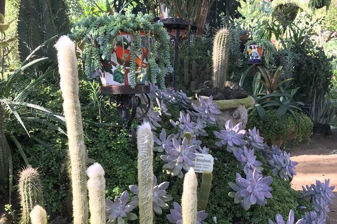 Puerto Vallarta Botanical Garden Tour with University Biologist - Who Should Book This Tour?