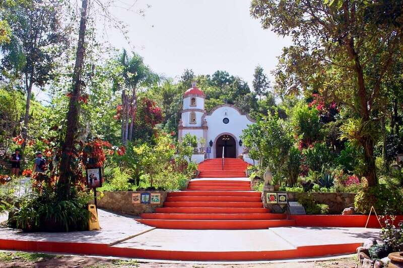 Puerto Vallarta: Botanical Gardens, Distillery & Coffee Tour - What to Expect from This Tour