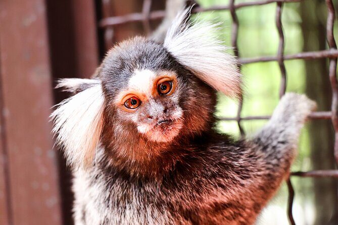 Puerto Vallarta Botanical Gardens Hiking Tour - Los Veranos Adventure Park and Wildlife Sanctuary