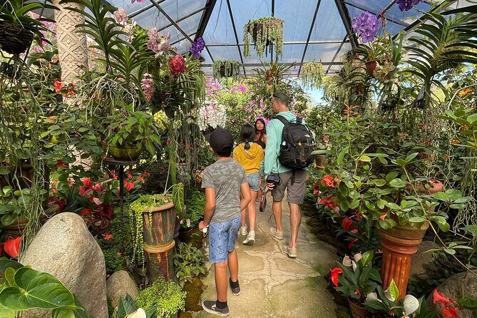 Puerto Vallarta Botanical Gardens Hiking Tour - Insights from Reviews