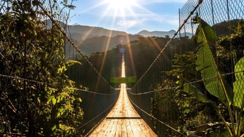 Puerto Vallarta: Canopy River + Jorullo Bridge Pass - Who It’s Perfect For