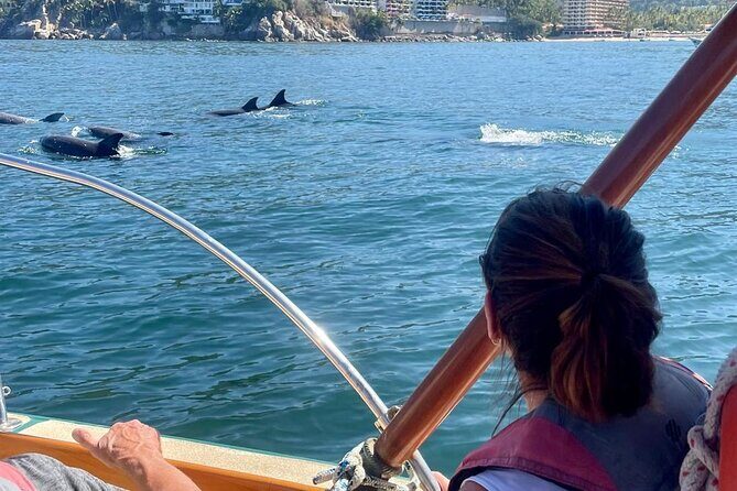 Puerto Vallarta City Tour By The Sea aboard Bruna - Final Thoughts