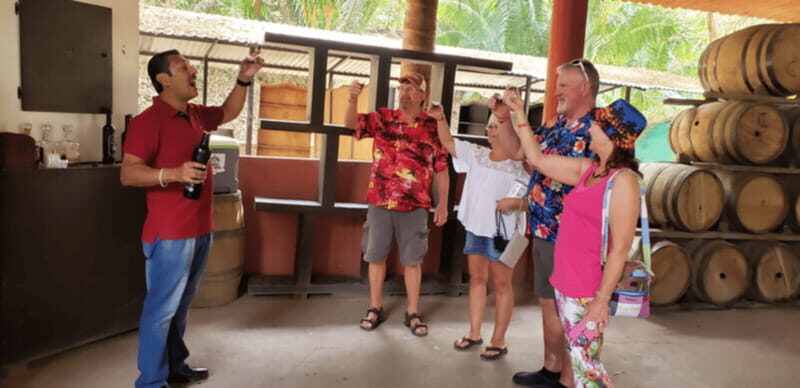 Puerto Vallarta: City Tour - Introducing the Puerto Vallarta City Tour