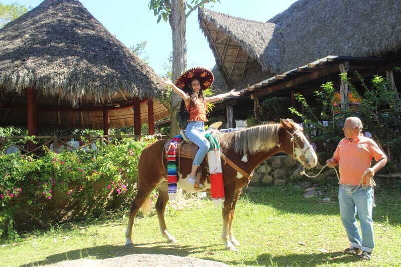 Puerto Vallarta: City Tour, Tequila and Coffee Factory Tour - Highlights That Shine