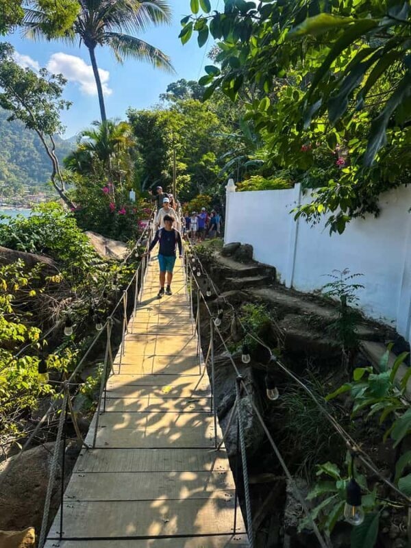 Puerto Vallarta: Coastal Hiking along Magical Beaches - Key Points