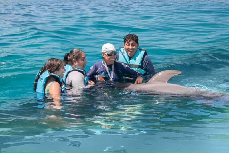 Puerto Vallarta: Dolphin Royal Connection & Water Park Pass - The Sum Up