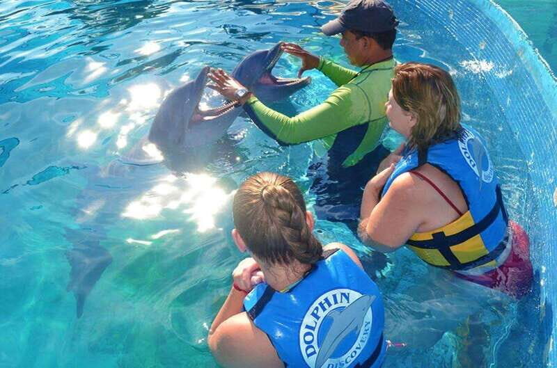 Puerto Vallarta: Dolphin Royal Swim at Aquaventuras Park - Overview of the Dolphin Royal Swim Experience