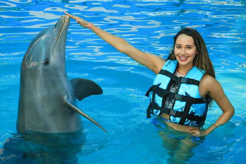 Puerto Vallarta: Dolphin Swimming and Aquaventuras Park - Who Should Consider This Tour?