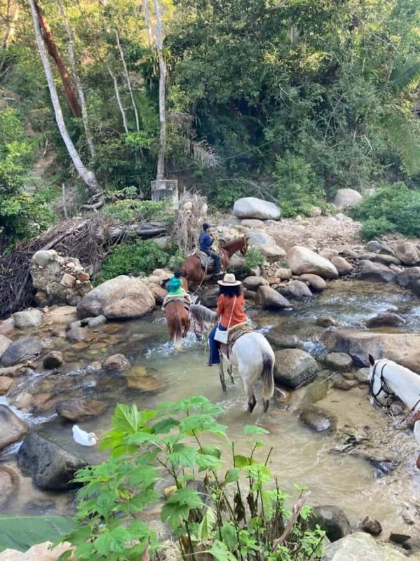 Puerto Vallarta: El Eden Horseback Riding - Final Thoughts