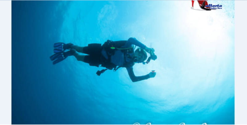 Puerto Vallarta: Exclusive Dive Adventure - The Sum Up