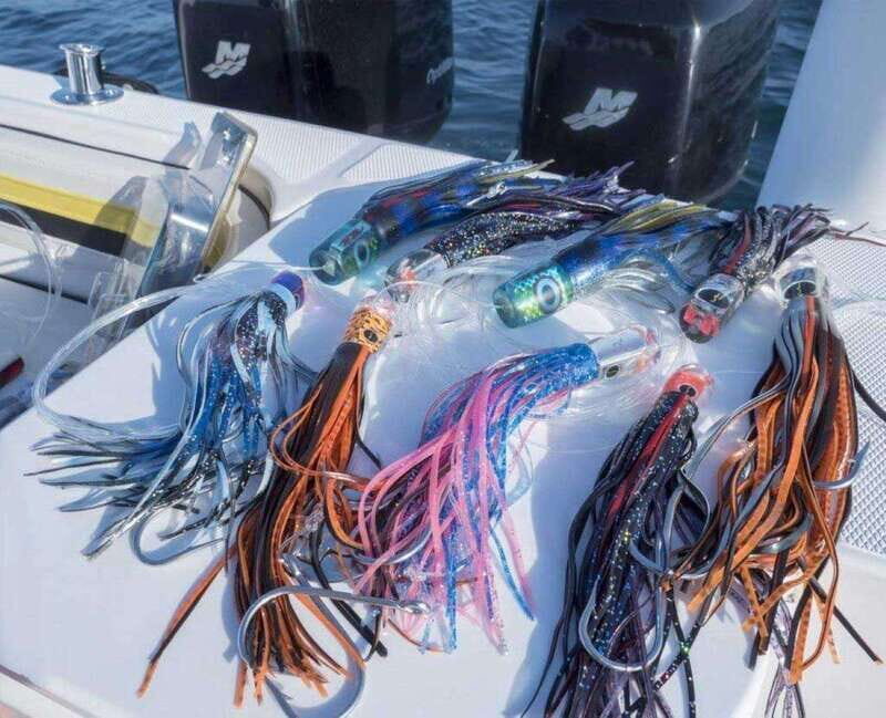 Puerto Vallarta: Fishing Pami I 27 - First Impressions: Setting the Scene