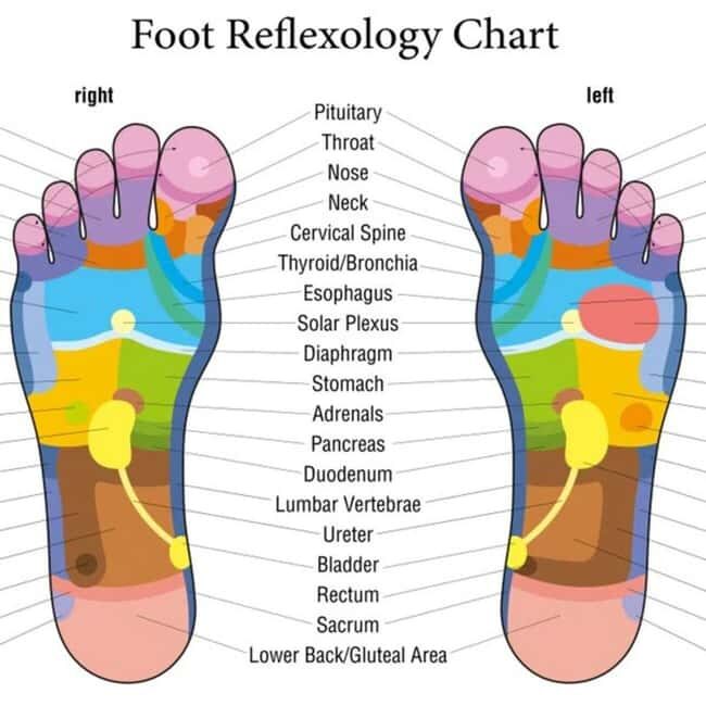 Puerto Vallarta: Foot Reflexology and Tired Legs Massage - Why Choose This Experience?