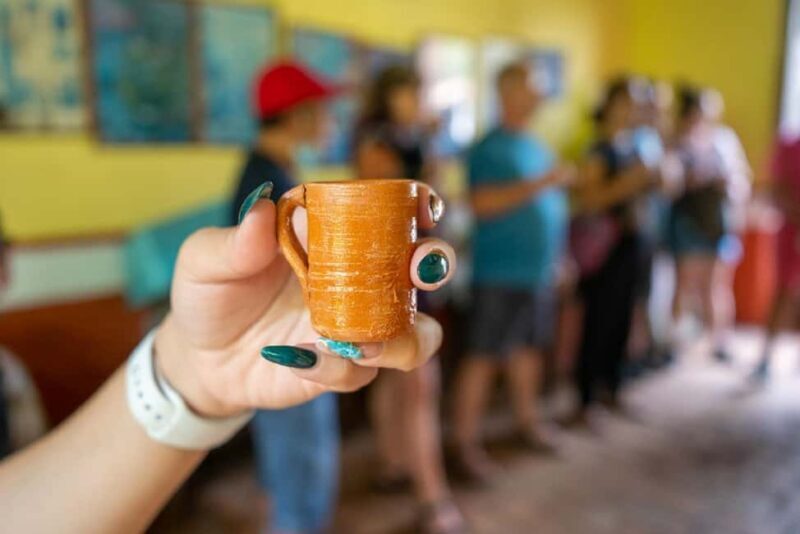 Puerto Vallarta: Guided San Sebastian Tour - Key Points
