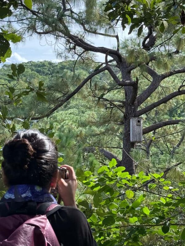 Puerto Vallarta: Guided Tour to the Macaw Sanctuary - Key Points