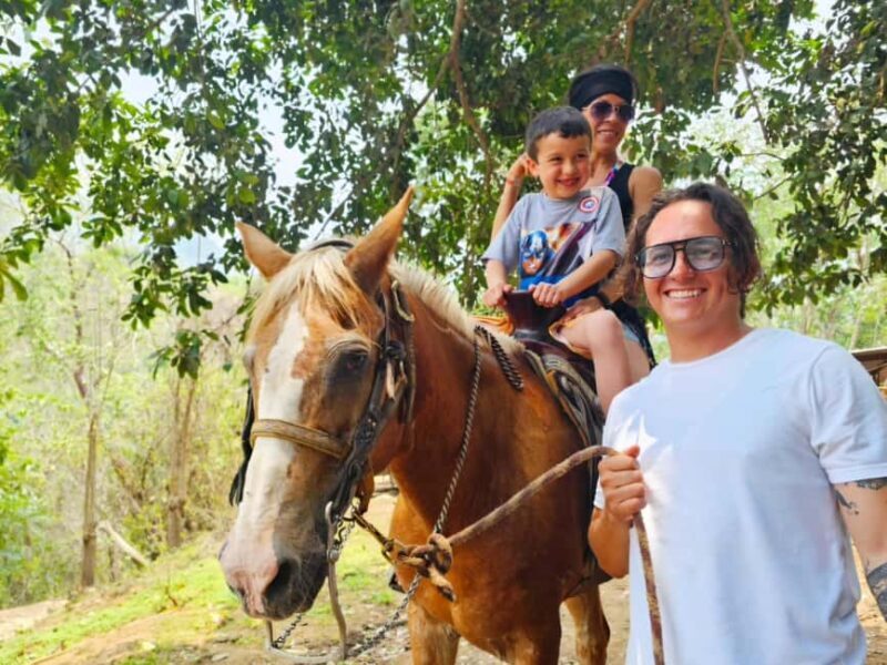 Puerto Vallarta: Hands-on Farm Experience from Cow to Cheese - Who Would Enjoy This Experience?