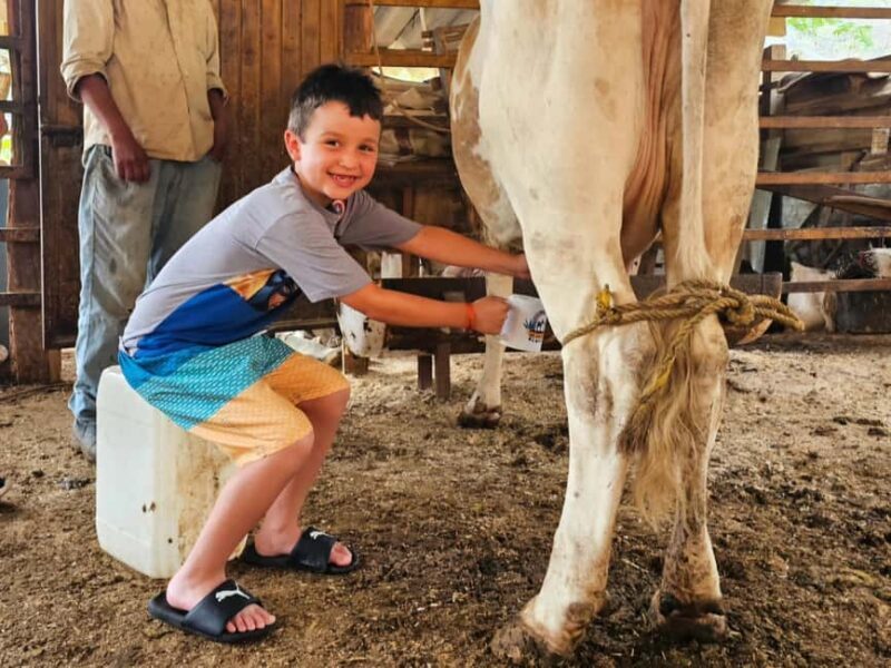 Puerto Vallarta: Hands-on Farm Experience from Cow to Cheese - What the Reviews Say