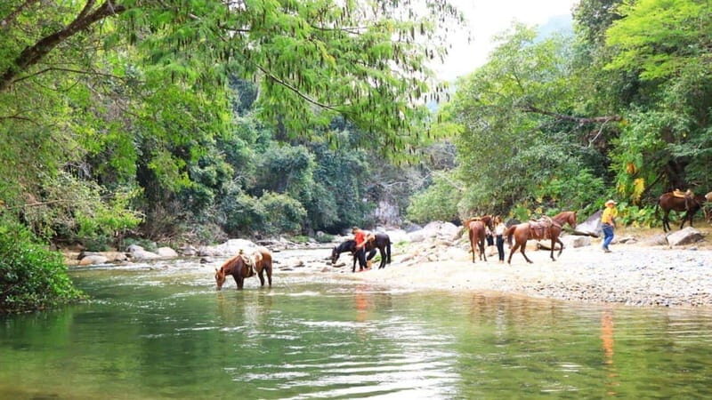 Puerto Vallarta: Horseback Riding Adventure at Canopy River - Authentic Mexican Flavors: Tequila Tasting