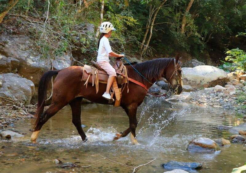 Puerto Vallarta: Horseback Riding Adventure at Canopy River - What to Expect at Each Stop
