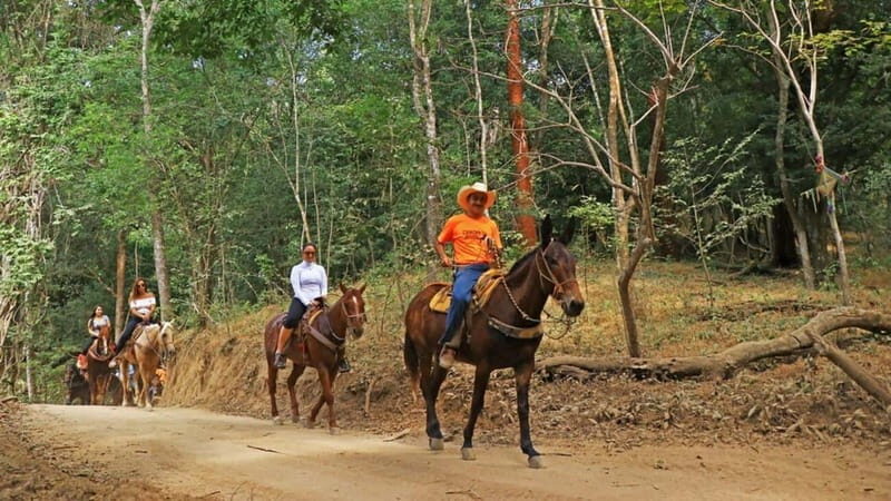 Puerto Vallarta: Horseback Riding Adventure at Canopy River - Final Thoughts: Who Will Love This Tour?