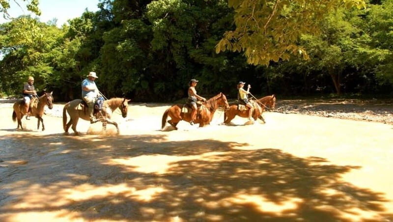 Puerto Vallarta: Horseback Riding at Hacienda Doña Engracia - Introduction