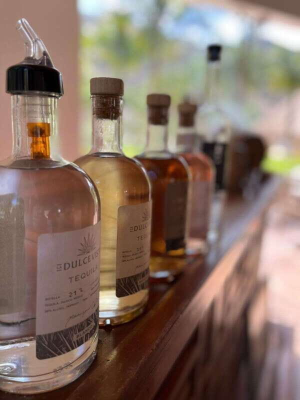 Puerto Vallarta: Horseback Riding at Hacienda Doña Engracia - Why This Tour Offers Value