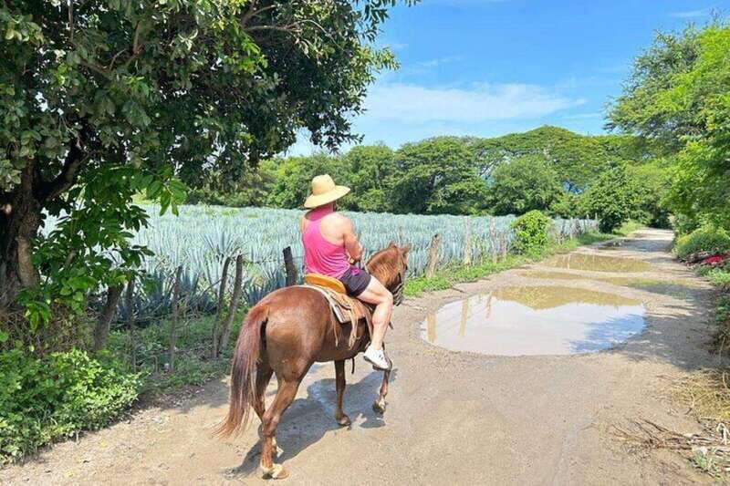 Puerto Vallarta: Horseback Riding at Hacienda Doña Engracia - FAQs