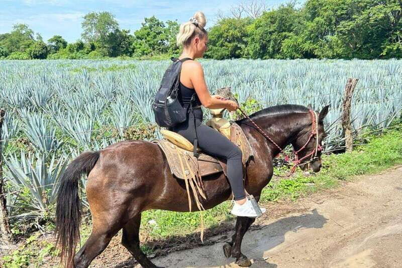 Puerto Vallarta: Horseback Riding, Lunch & Unlimited Drinks - FAQ