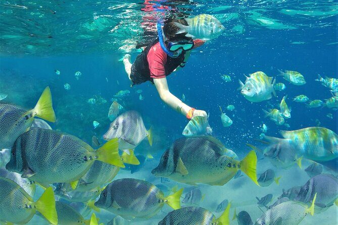 Puerto Vallarta Islas Marietas Eco Discovery - Authentic Experiences and Cautions