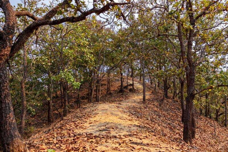 Puerto Vallarta: Jorullo Paradise Hiking Adventure - Why This Tour Might Be Perfect for You