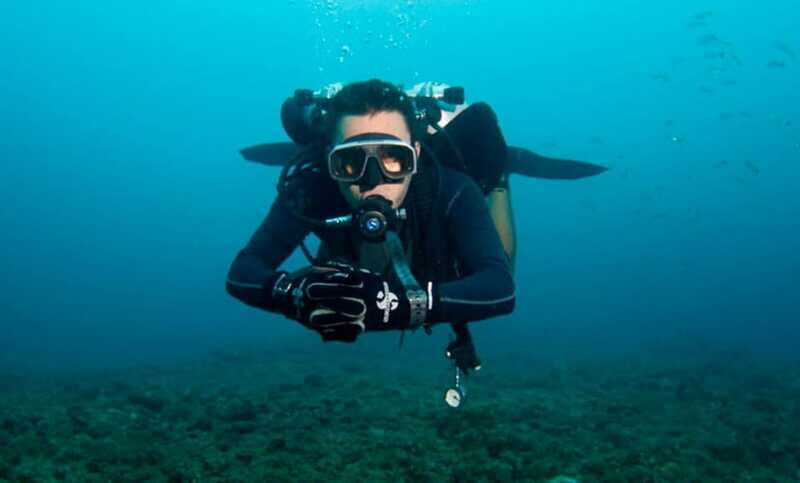 Puerto Vallarta: La Corbeñeta Underwater Exploration - Who is this tour ideal for?