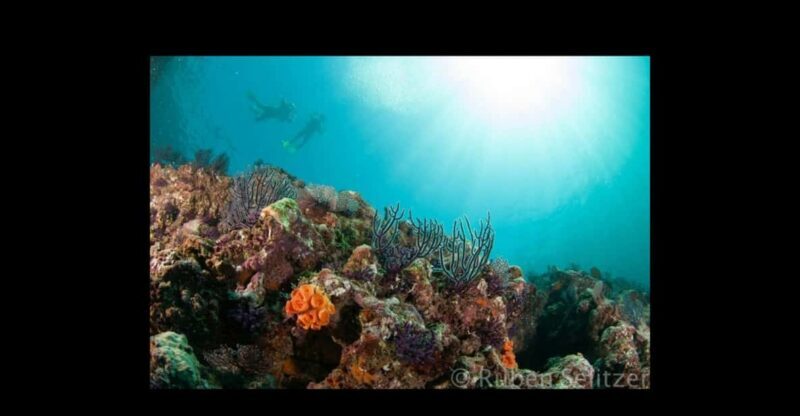 Puerto Vallarta: La Corbeñeta Underwater Exploration - FAQ