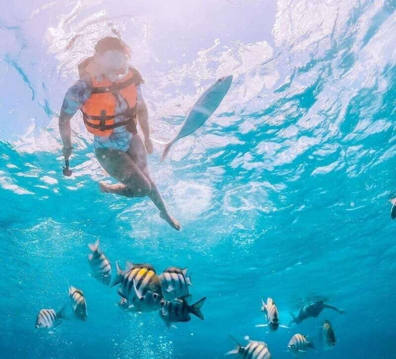 Puerto Vallarta: Los Arcos Islands Boat Tour and Snorkeling - Practical Details - What You Need to Know