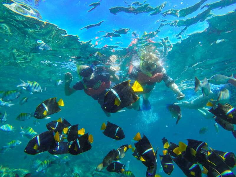 Puerto Vallarta: Luxury Day Sailing Tour of Bay of Banderas - Puerto Vallarta: Luxury Day Sailing Tour of Bay of Banderas — A Detailed Review