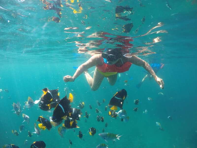 Puerto Vallarta: Luxury Yacht Tour with Lunch and Open Bar - An Authentic Look at the Yacht Experience