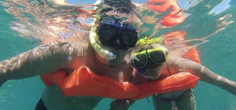 Puerto Vallarta: Marietas Paradise Tour + Lunch & Open Bar - Why This Tour Stands Out