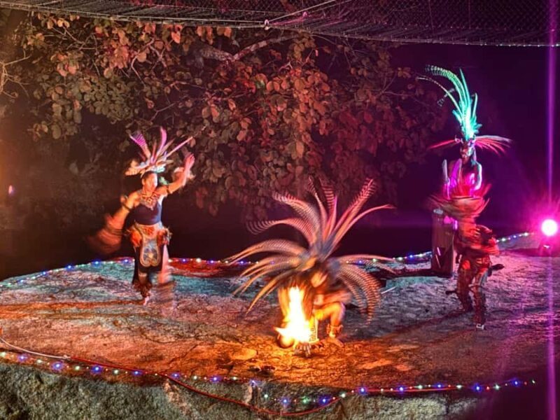 Puerto Vallarta: Night Zipline, Dinner, & Show with Pickup - An In-Depth Look at the Experience