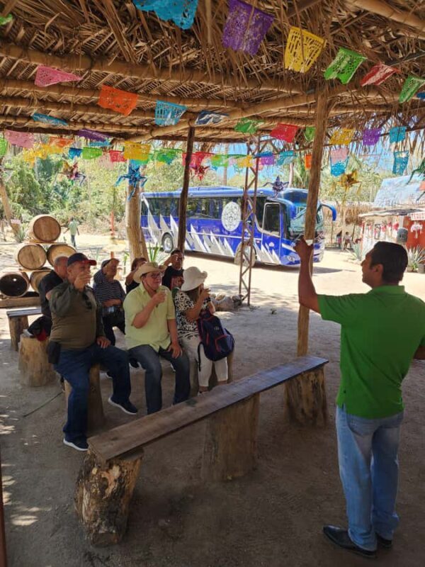 Puerto Vallarta: Oceanfront Lunch, Hike, Tequila & Beach Day - The Sum Up