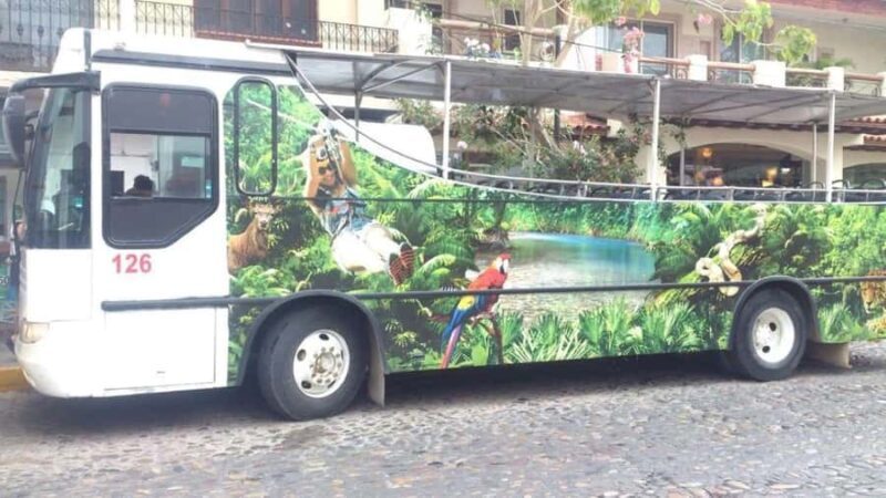 Puerto Vallarta: Predator Zipline & Jungle Adventure - An Introduction to the Predator Zipline & Jungle Adventure