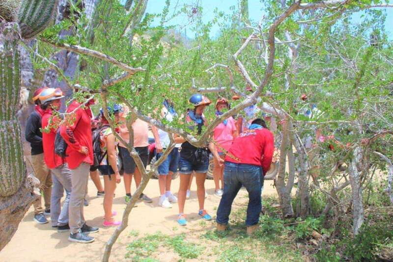 Puerto Vallarta: Predator Zipline & Jungle Adventure - Key Points