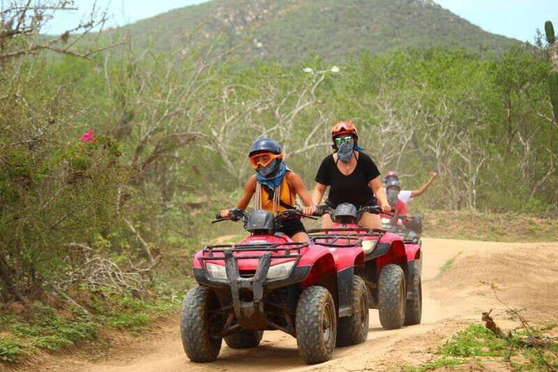 Puerto Vallarta: Predator Zipline & Jungle Adventure - Exploring the Video Game-Like Jungle of Baja Sur