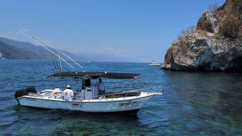 Puerto Vallarta: Private Ocean Adventure - Scenic Cruise Along Puerto Vallartas Coastline