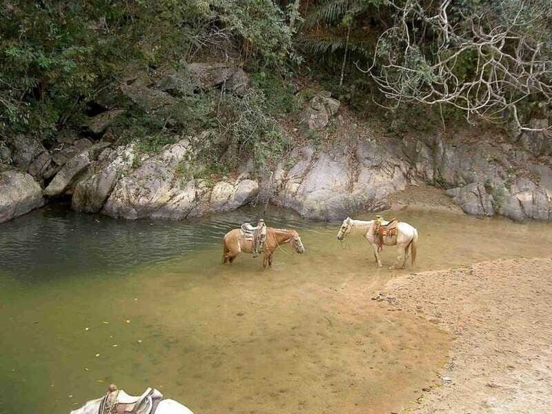 Puerto Vallarta: Private Tour Hiking Quimixto Waterfall - Who Might Want to Consider Alternatives?