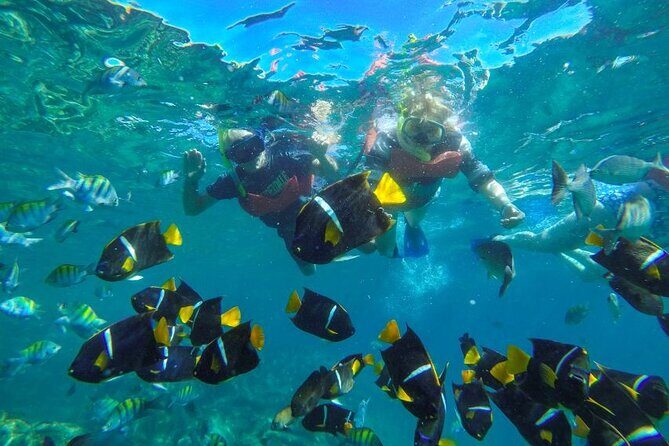 Puerto Vallarta: Private Yelapa Beach & Snorkel Tour on a Yacht - FAQ