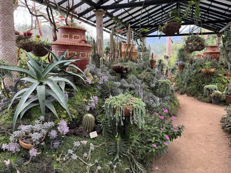 Puerto Vallarta: Sayulita & San Pancho Private Day Tour - Value and Practicalities