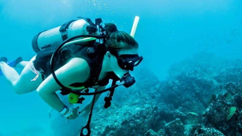 Puerto Vallarta: Scuba Dive at Los Arcos - The Experience in Detail