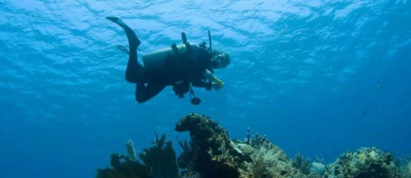 Puerto Vallarta: Scuba Dive at Los Arcos - The Sum Up: A True Marine Highlight