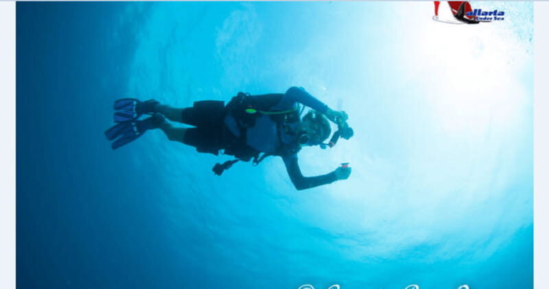 Puerto Vallarta: Scuba Diving en el Morro - An In-Depth Look at the Tour Experience