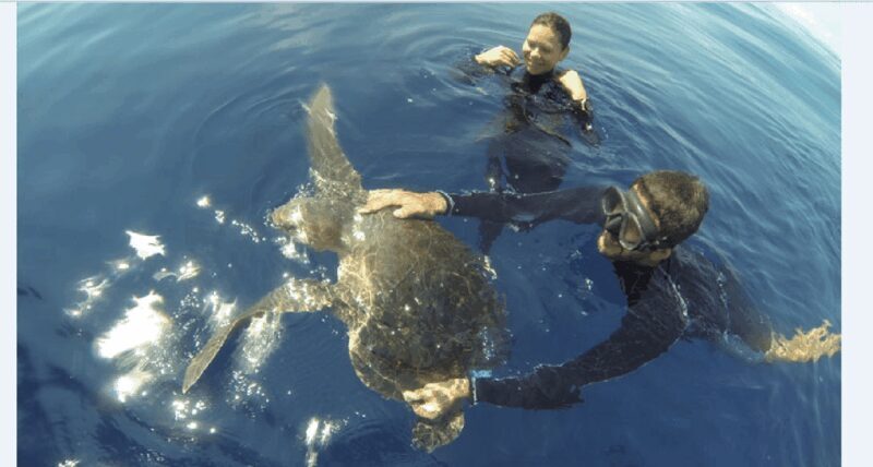Puerto Vallarta: Scuba Diving en el Morro - The Sum Up